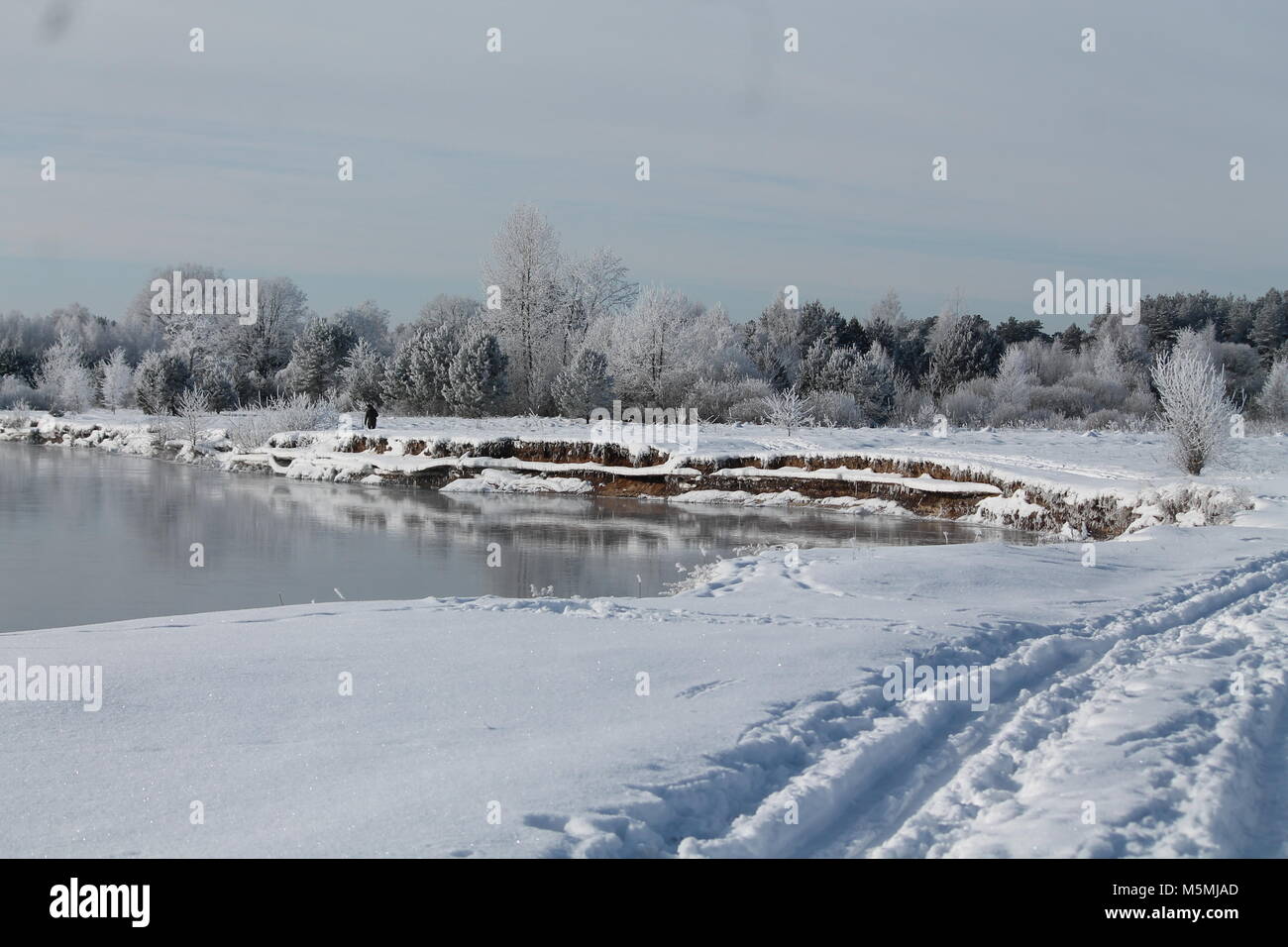 beautiful landscape river bank in cold winter day covered shine snow ...