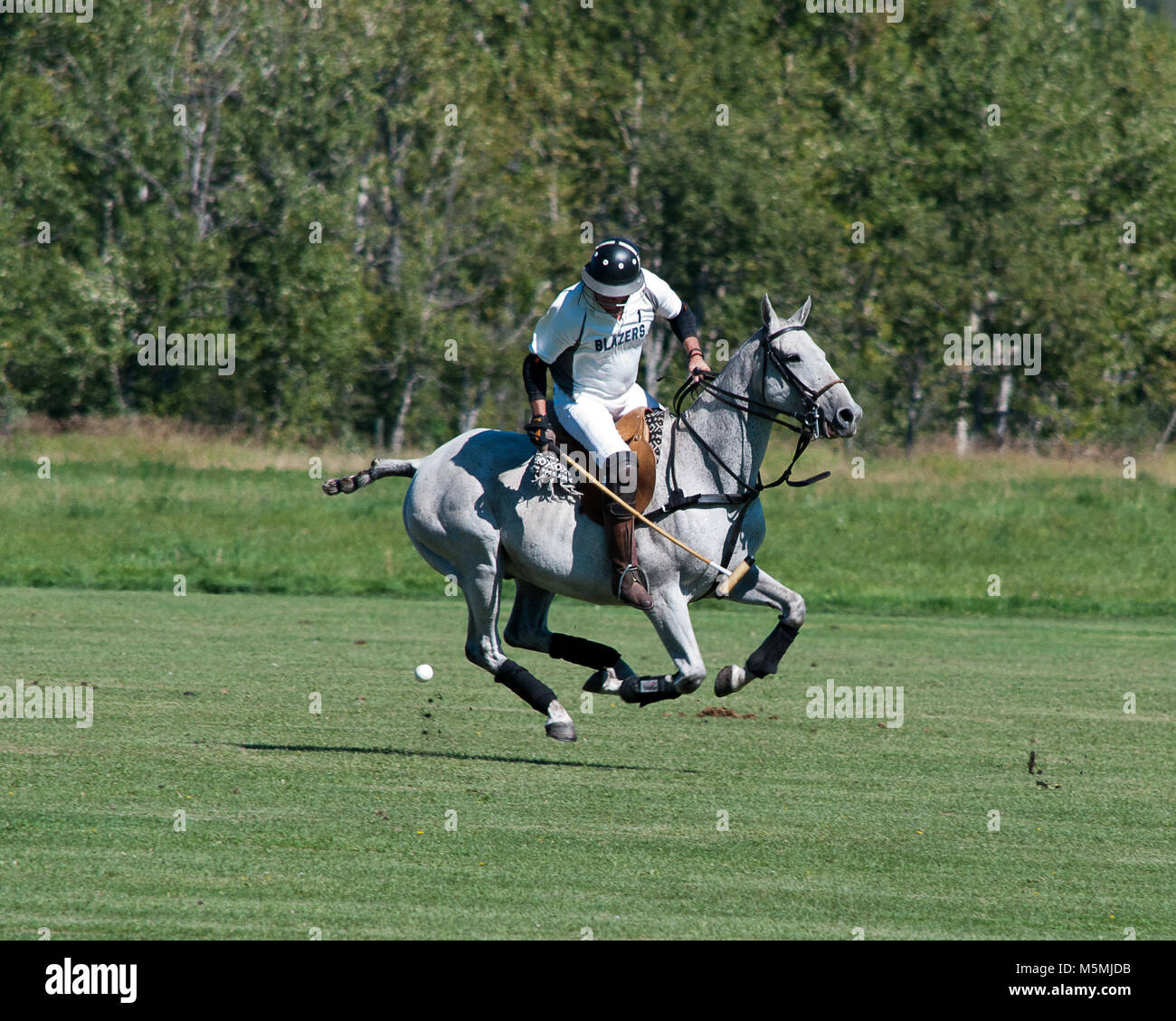 Amateur Polo Players in Tournament Play at the Black Diamond Polo Club ...