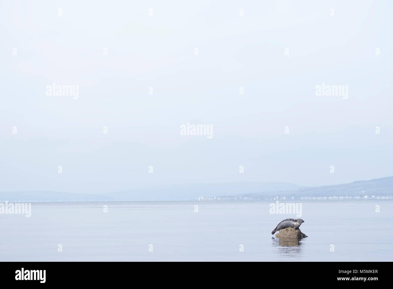 Single rock and ocean hi-res stock photography and images - Alamy