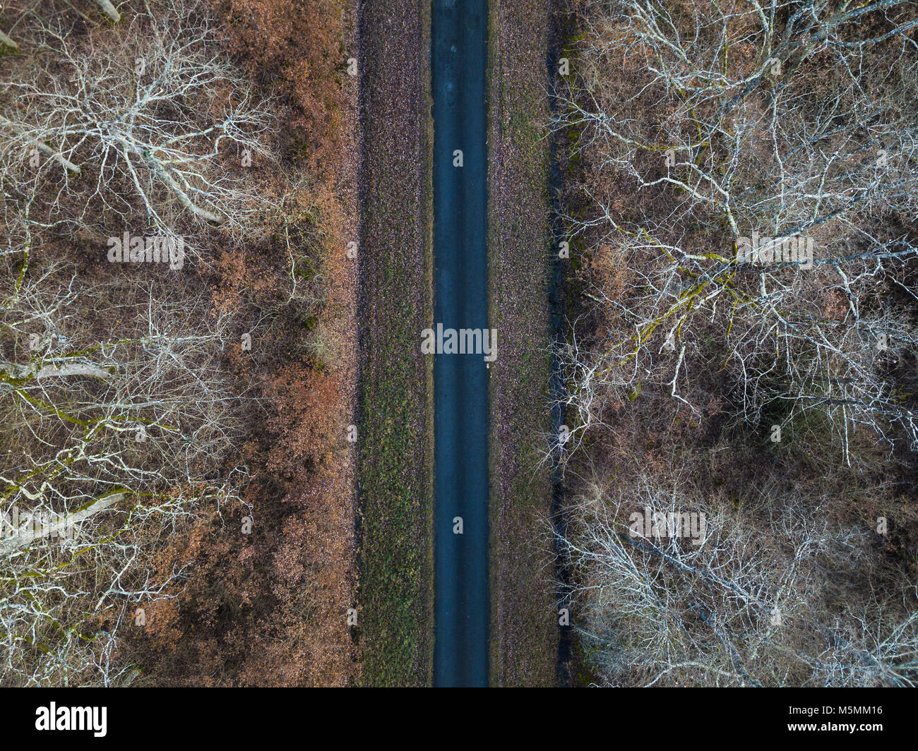 Aerial view straight road hi-res stock photography and images - Alamy