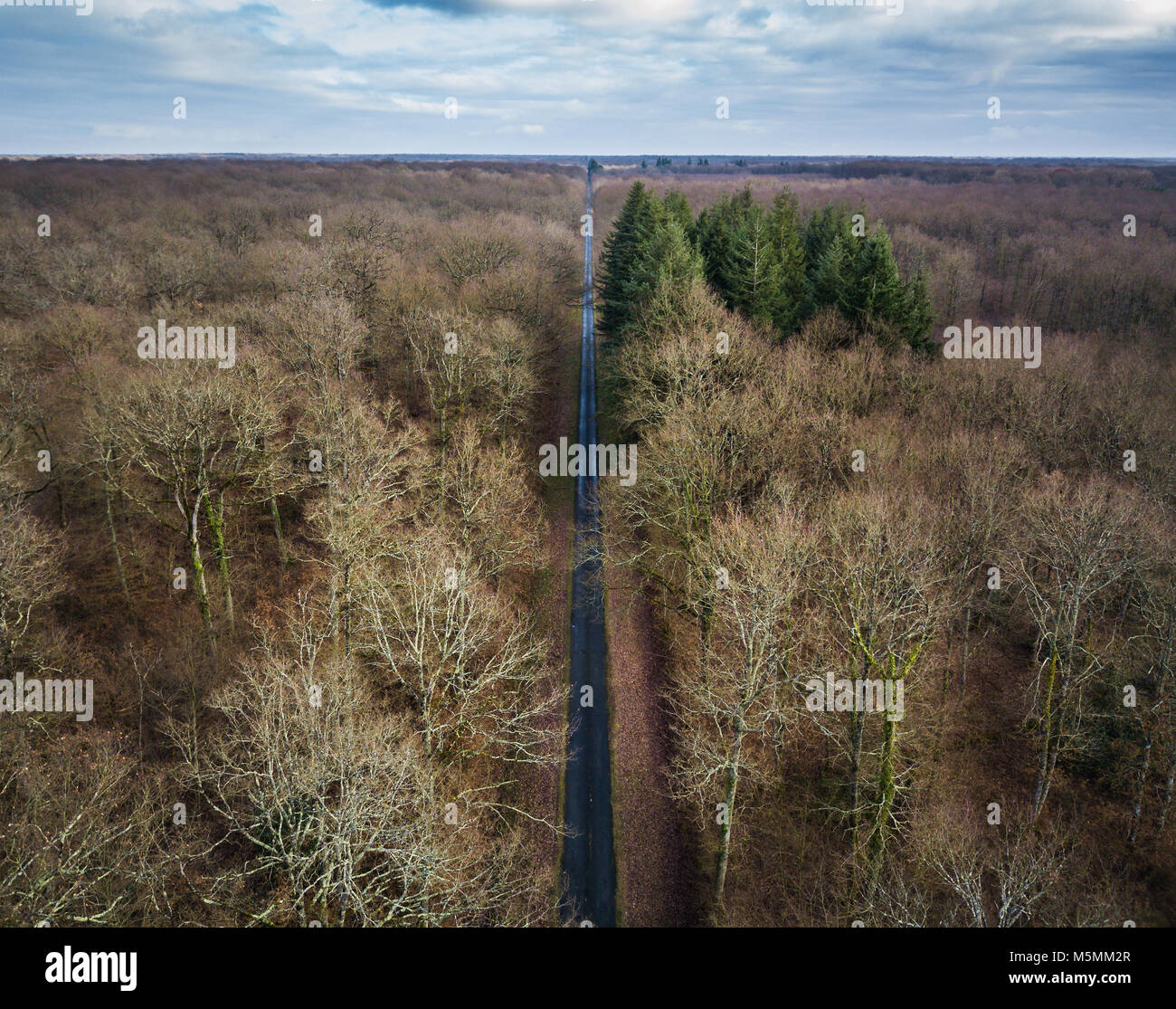 Aerial road straight hi-res stock photography and images - Alamy