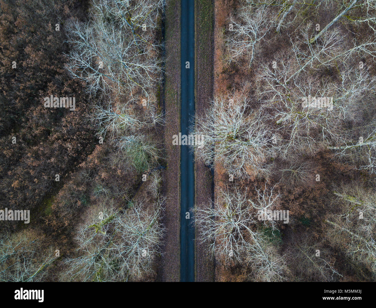 Aerial road straight hi-res stock photography and images - Alamy