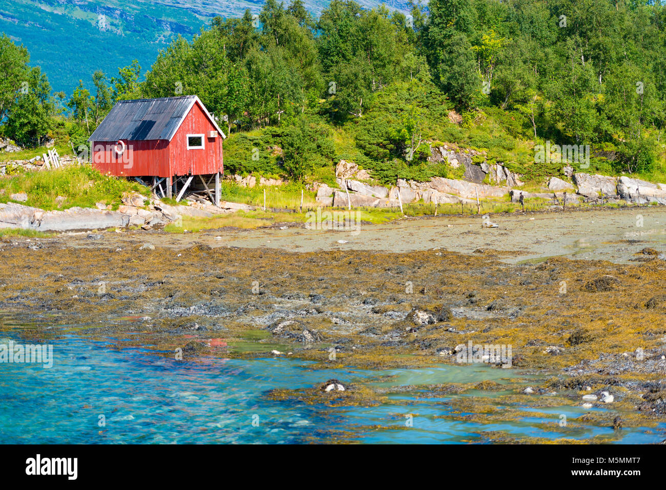 Beautiful landscape of Norway. Red barn, trees and water, mountains in ...