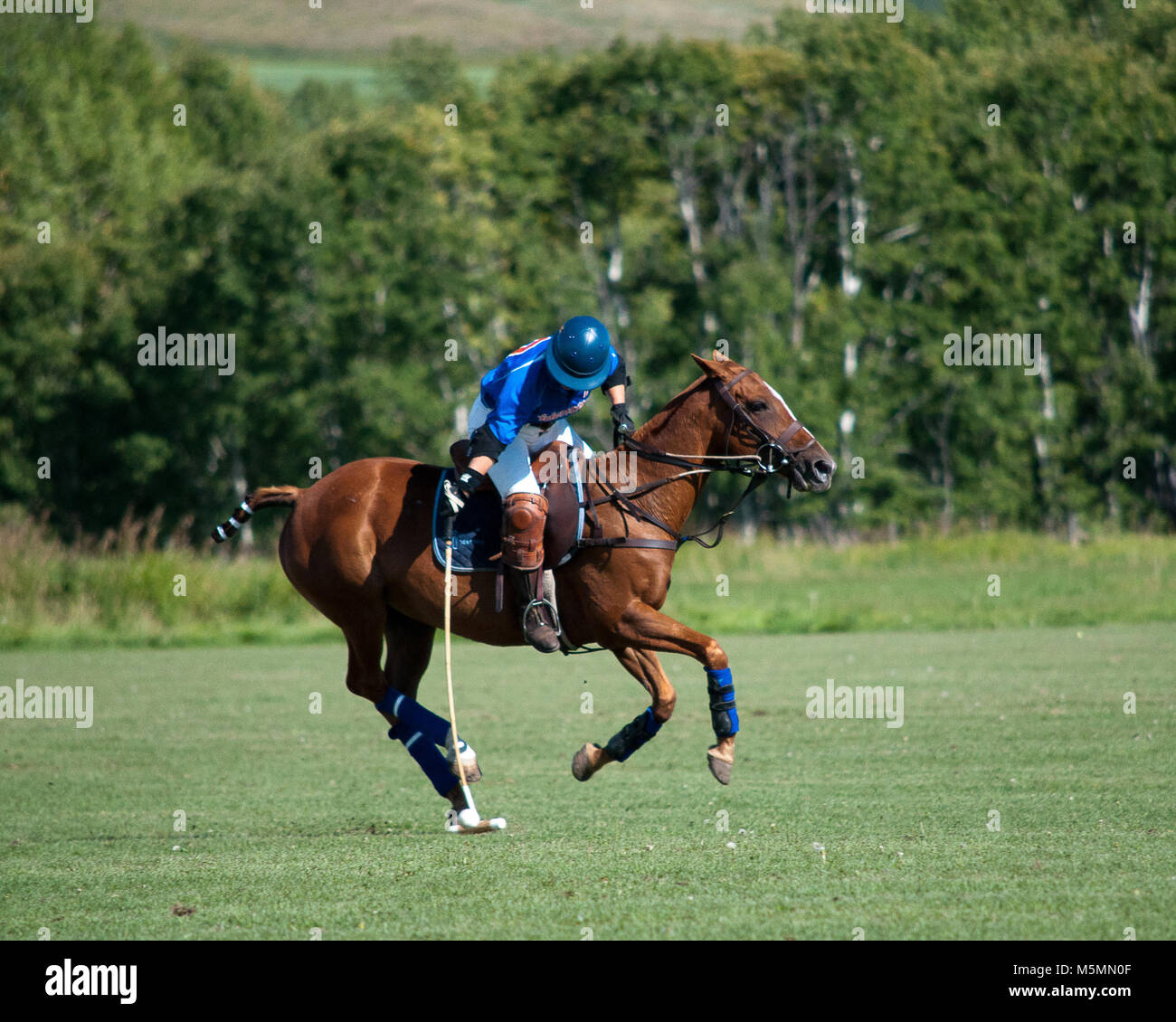 Black polo players hi-res stock photography and images - Alamy