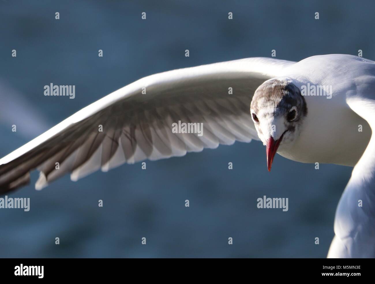 Newbold quarry hi-res stock photography and images - Alamy