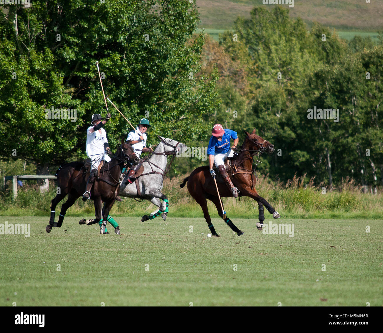 Amateur Polo Players in Tournament Play at the Black Diamond Polo Club ...