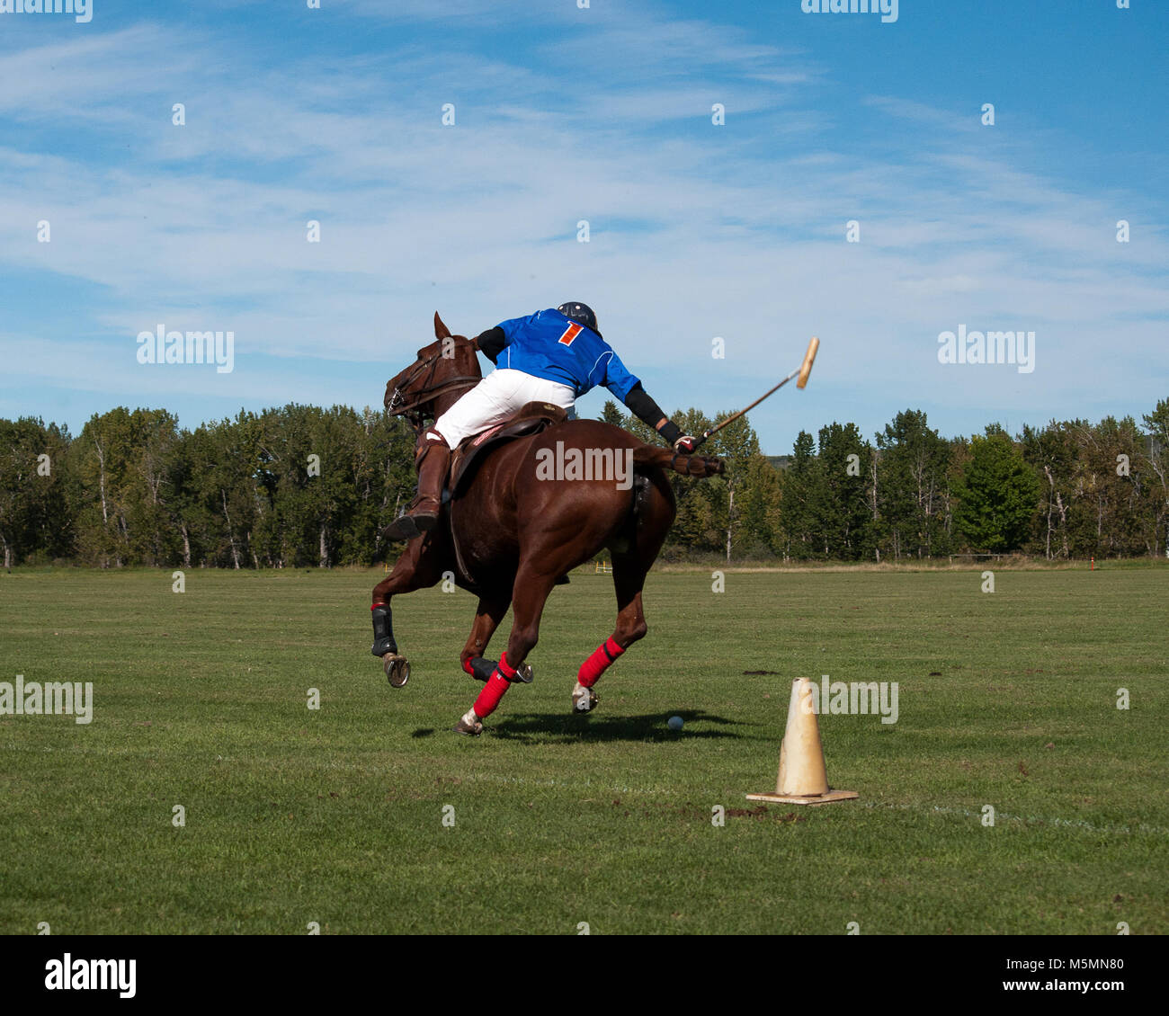 Black polo players hi-res stock photography and images - Alamy