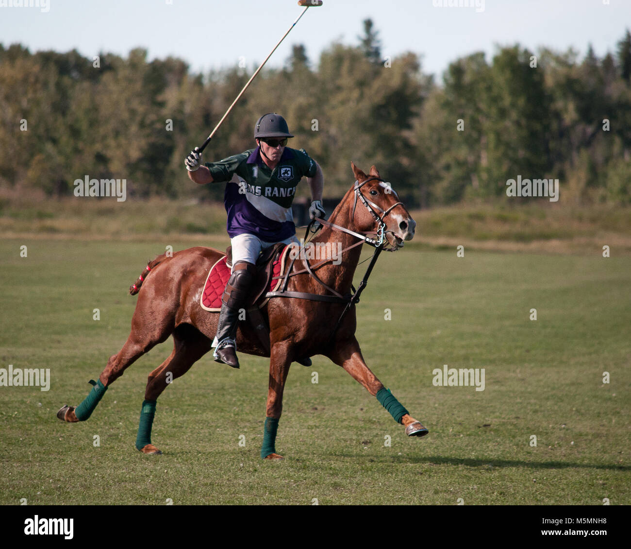 Black polo players hi-res stock photography and images - Alamy