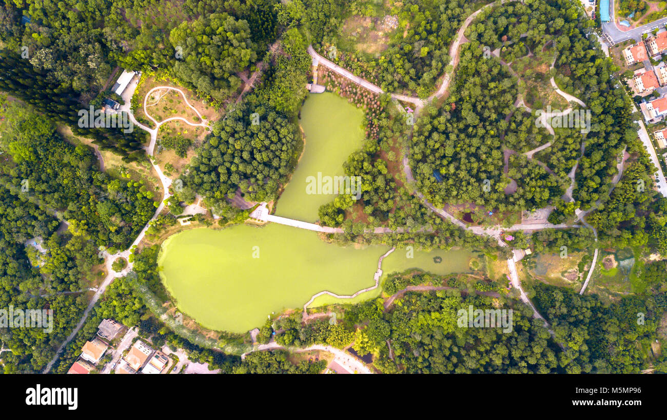 Aerial photograph of Jinshan Plant Park, Yangjiang, China Stock Photo ...