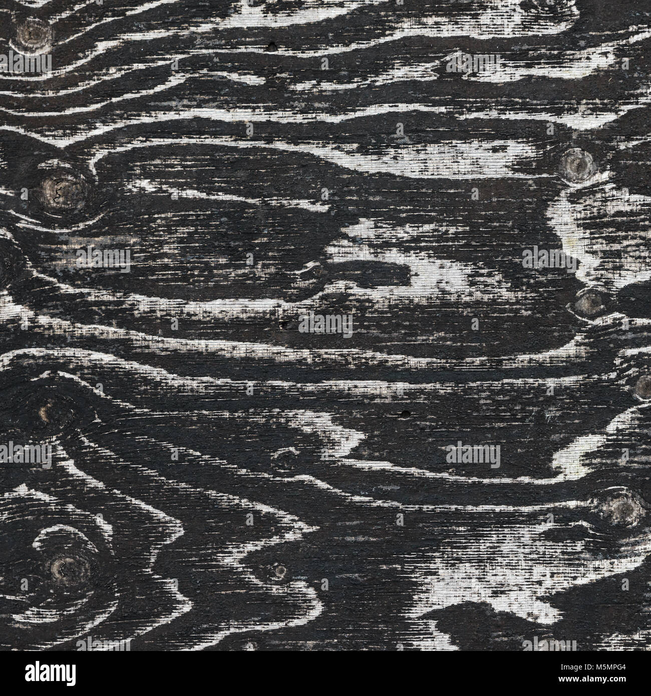 Dark wood texture, veins and knots clearly visible Stock Photo - Alamy