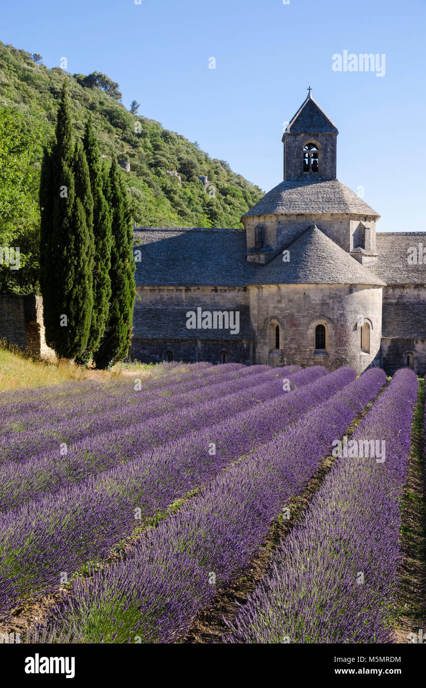 Senanque provence hi-res stock photography and images - Alamy
