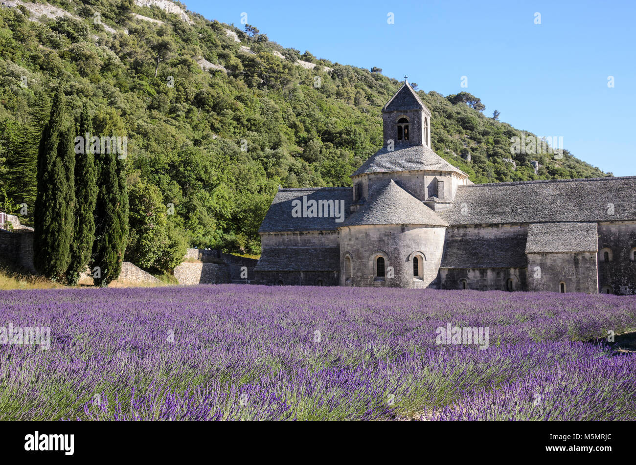 Senanque provence hi-res stock photography and images - Alamy