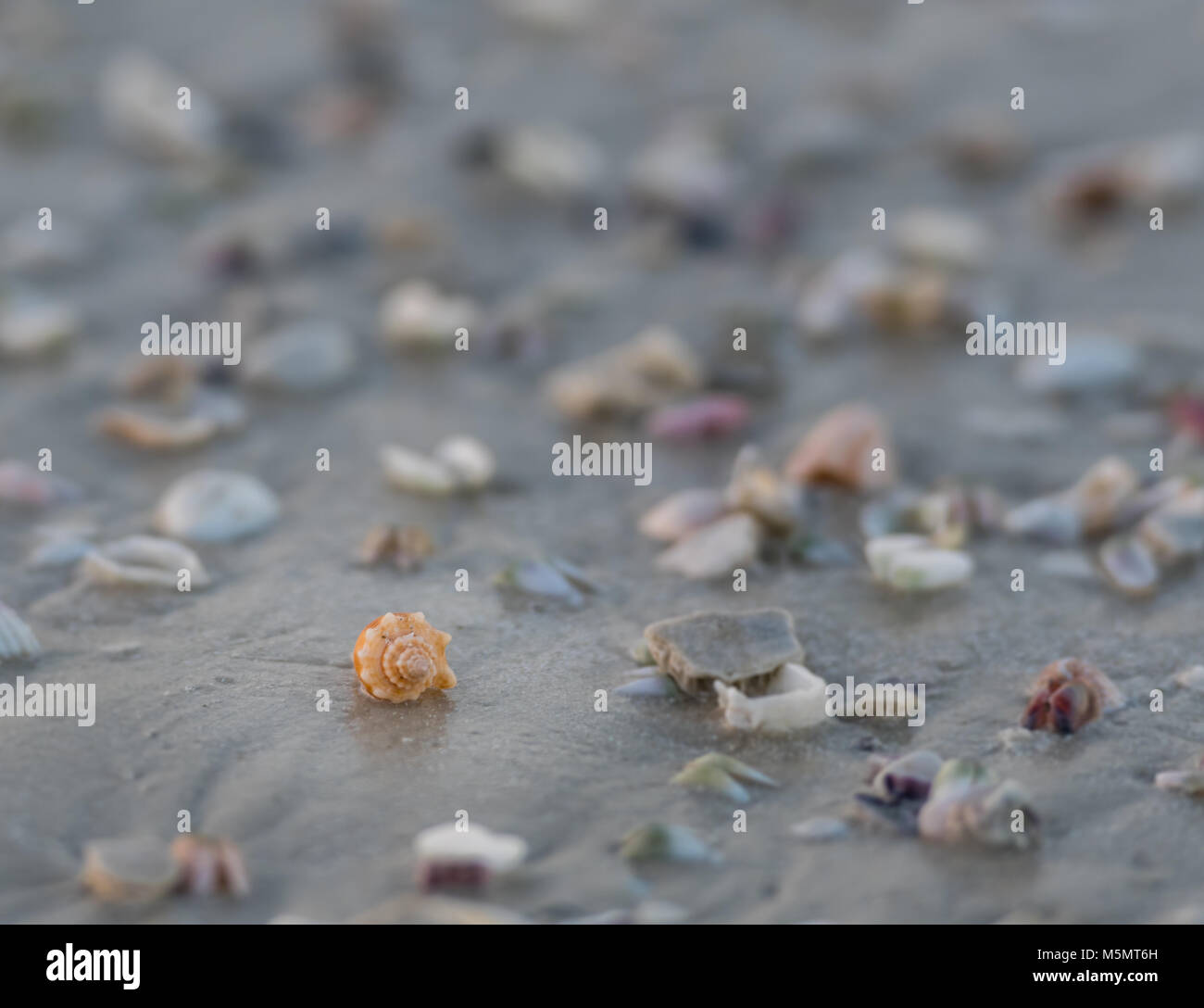 Damp Sand High Resolution Stock Photography and Images - Alamy