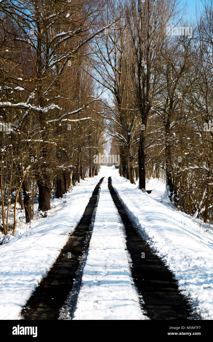 Road frozen hi-res stock photography and images - Alamy