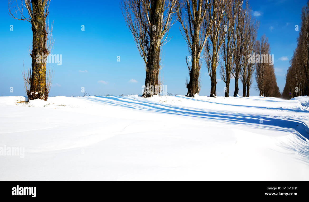 Snowy winter road Stock Photo - Alamy