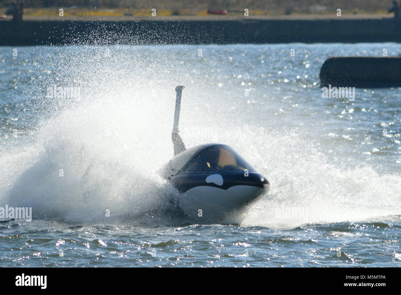 Predator Adventures offering thrill-rides in their Seabreacher ...