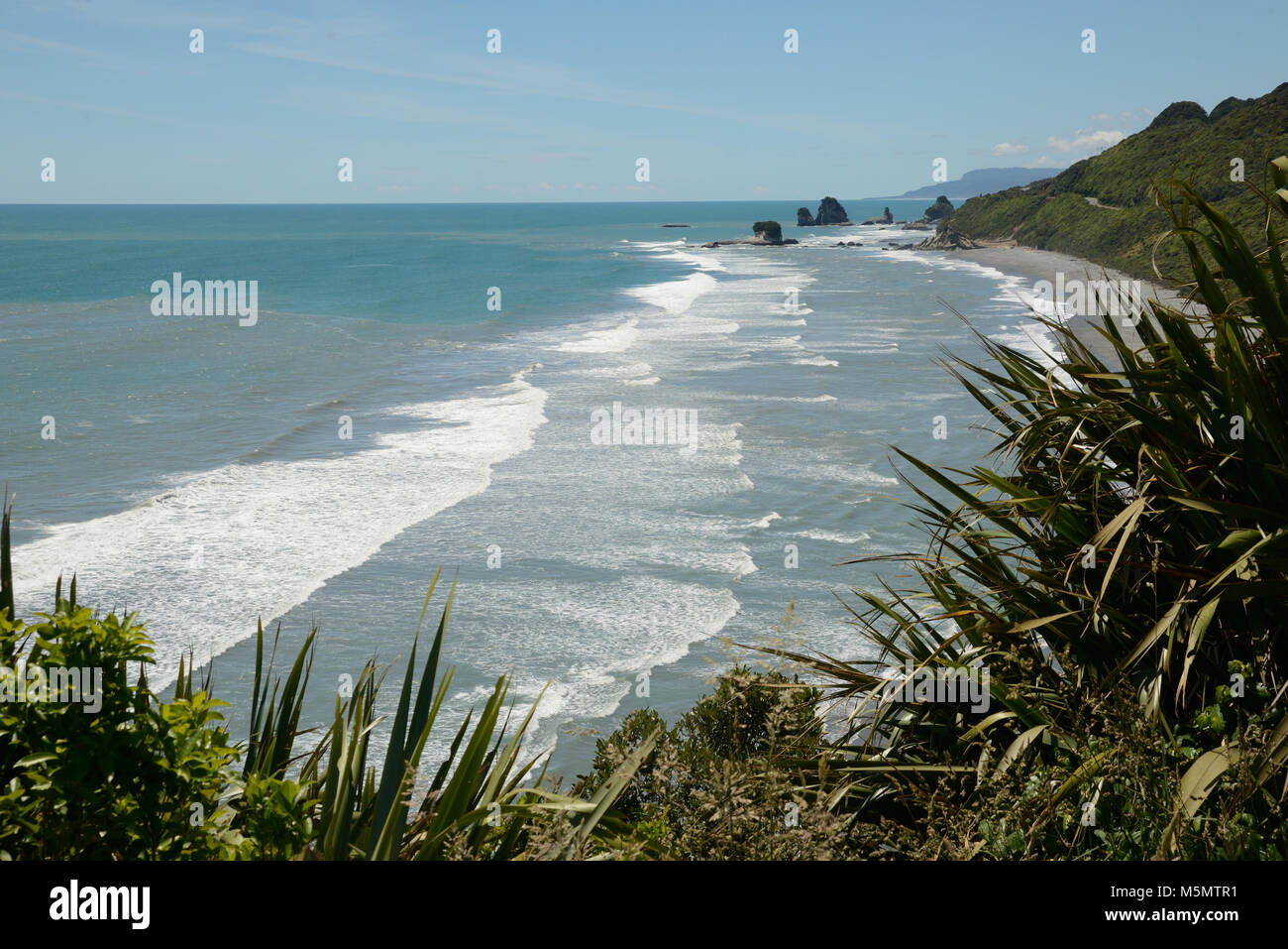 native bush frames a beach at low tide on a West Coast beach, South ...