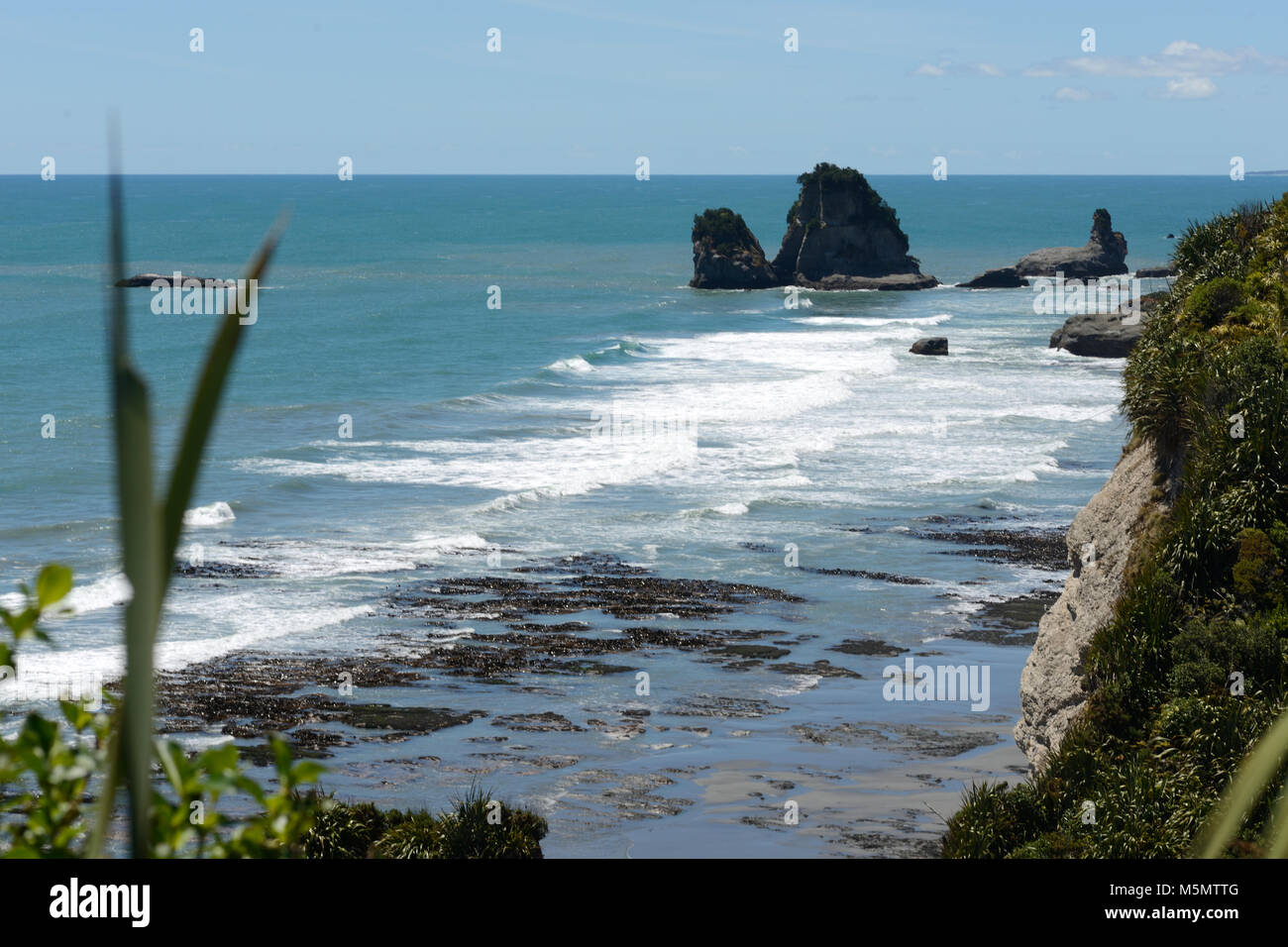 native bush frames a beach at low tide on a West Coast beach, South ...