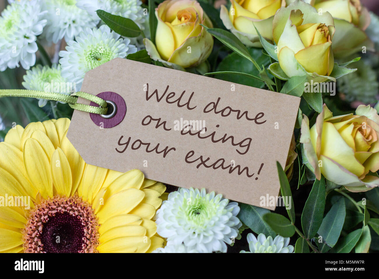 Passed exam greeting card hi-res stock photography and images - Alamy