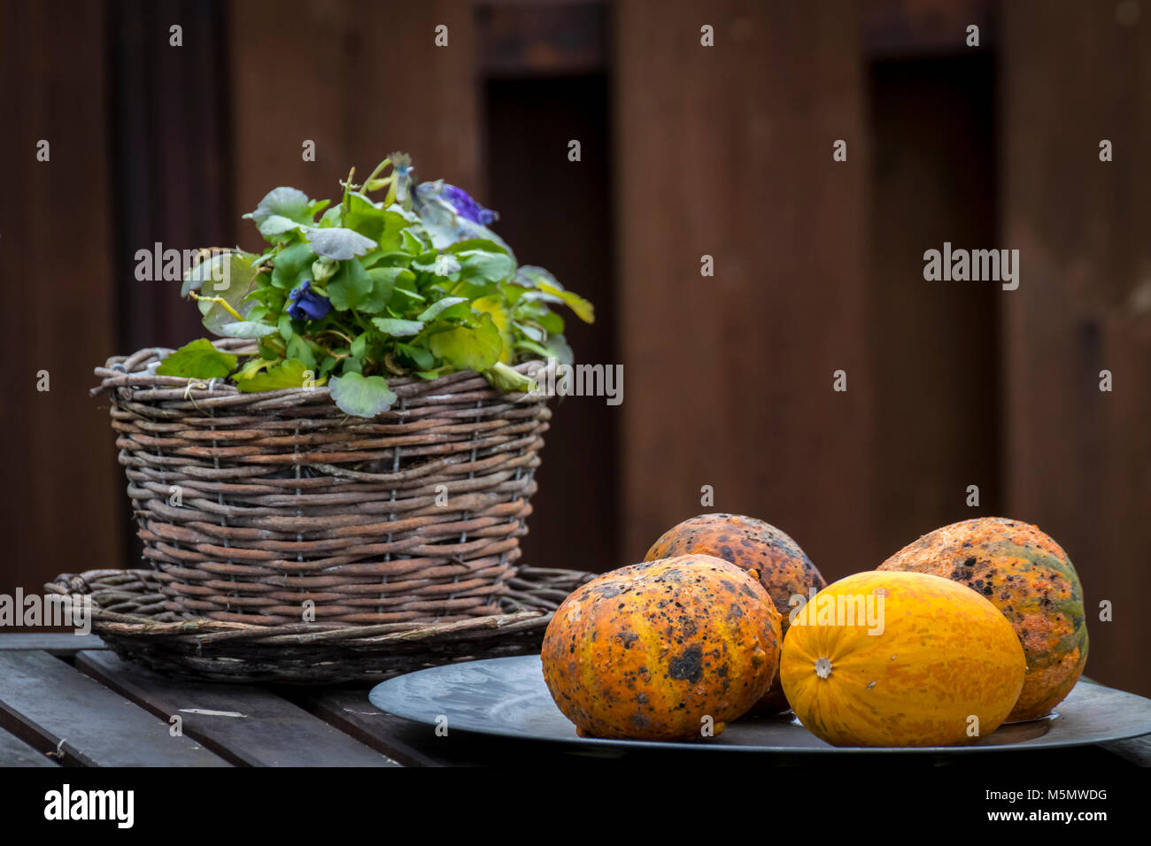 Garden fruit and vegetables decor Stock Photo - Alamy