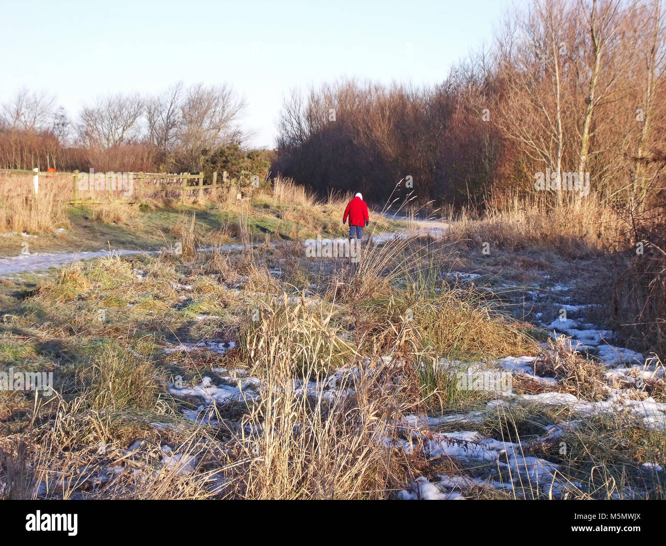 Person taking a morning walk hi-res stock photography and images - Alamy