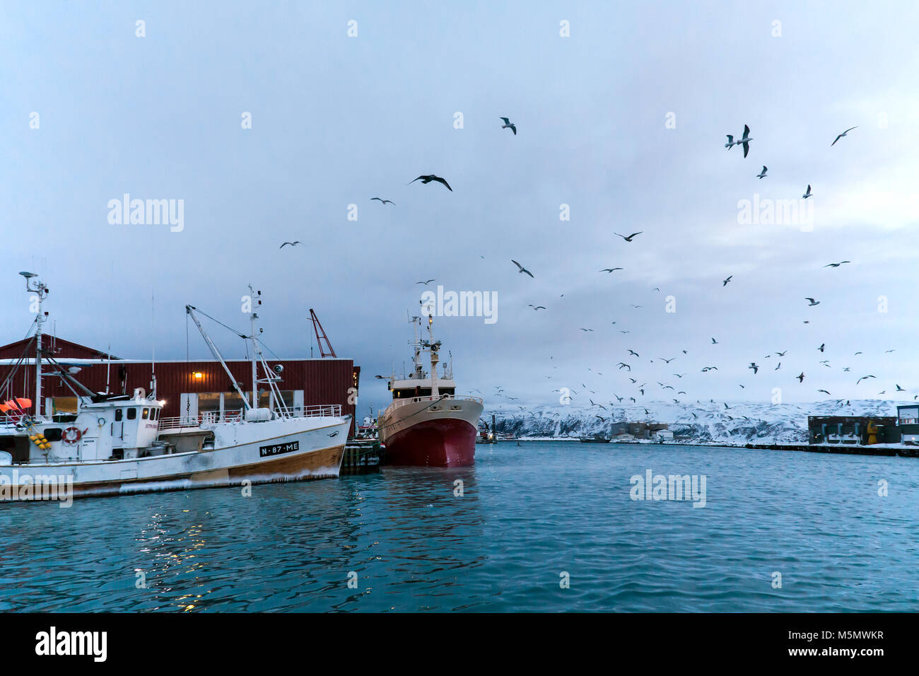 From the small fishing village of Batsfjord, Finnmark county, north ...