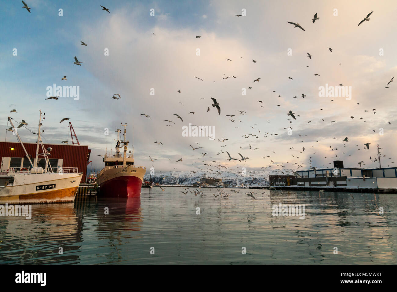 From the small fishing village of Batsfjord, Finnmark county, north ...