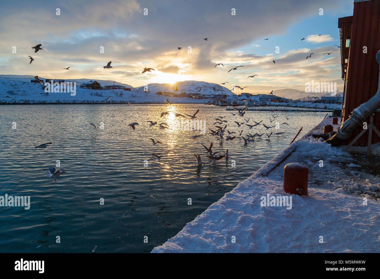 Batsfjord hi-res stock photography and images - Alamy