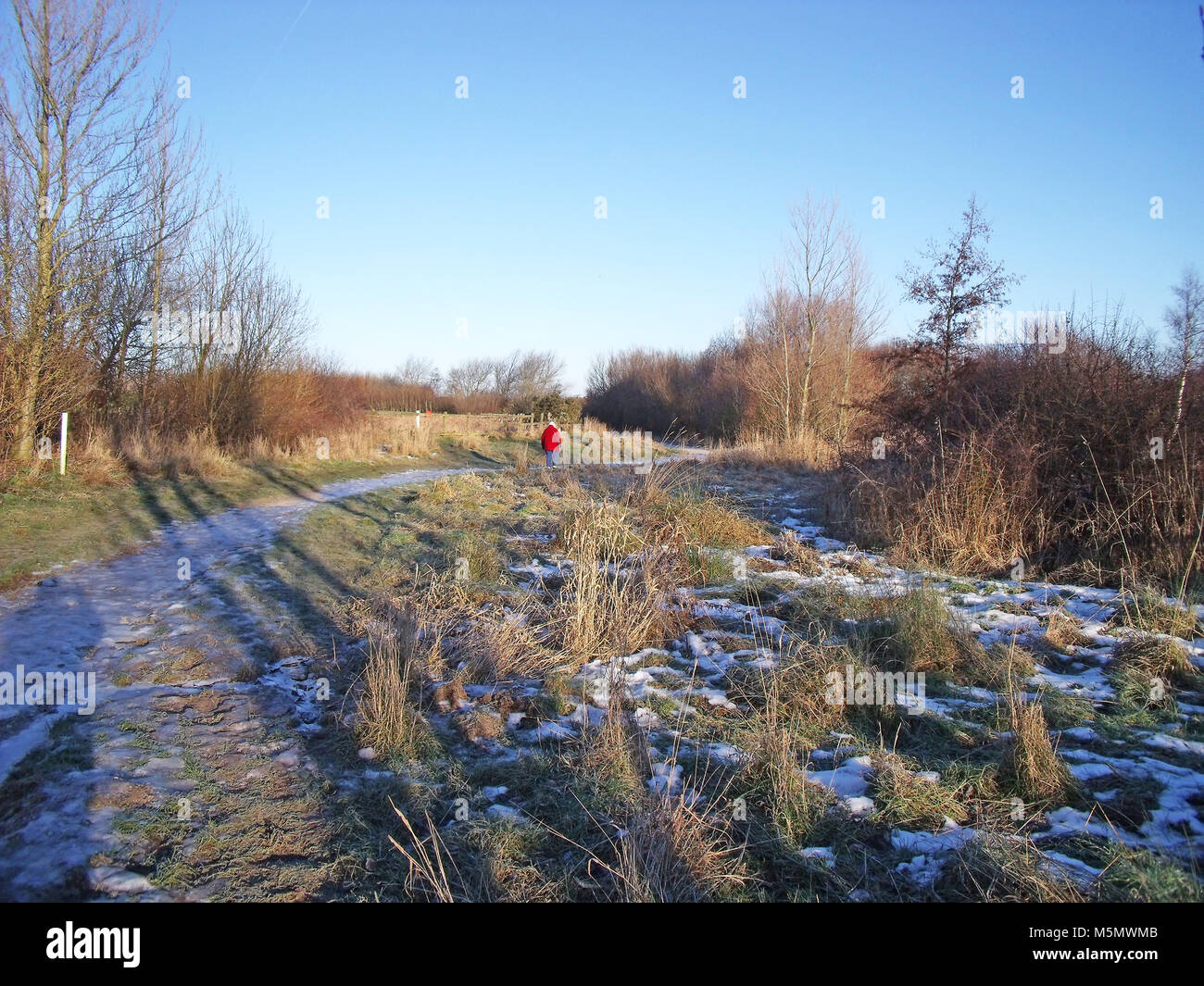 Lady taking a walk in winter on frosty ground Stock Photo - Alamy