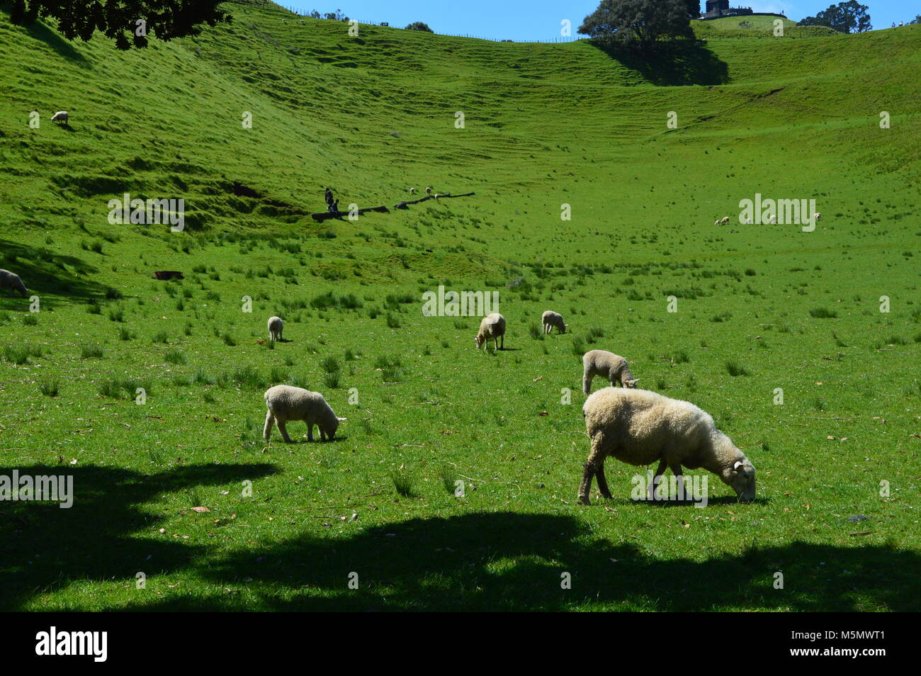 Nature hill wallpaper hi-res stock photography and images - Alamy