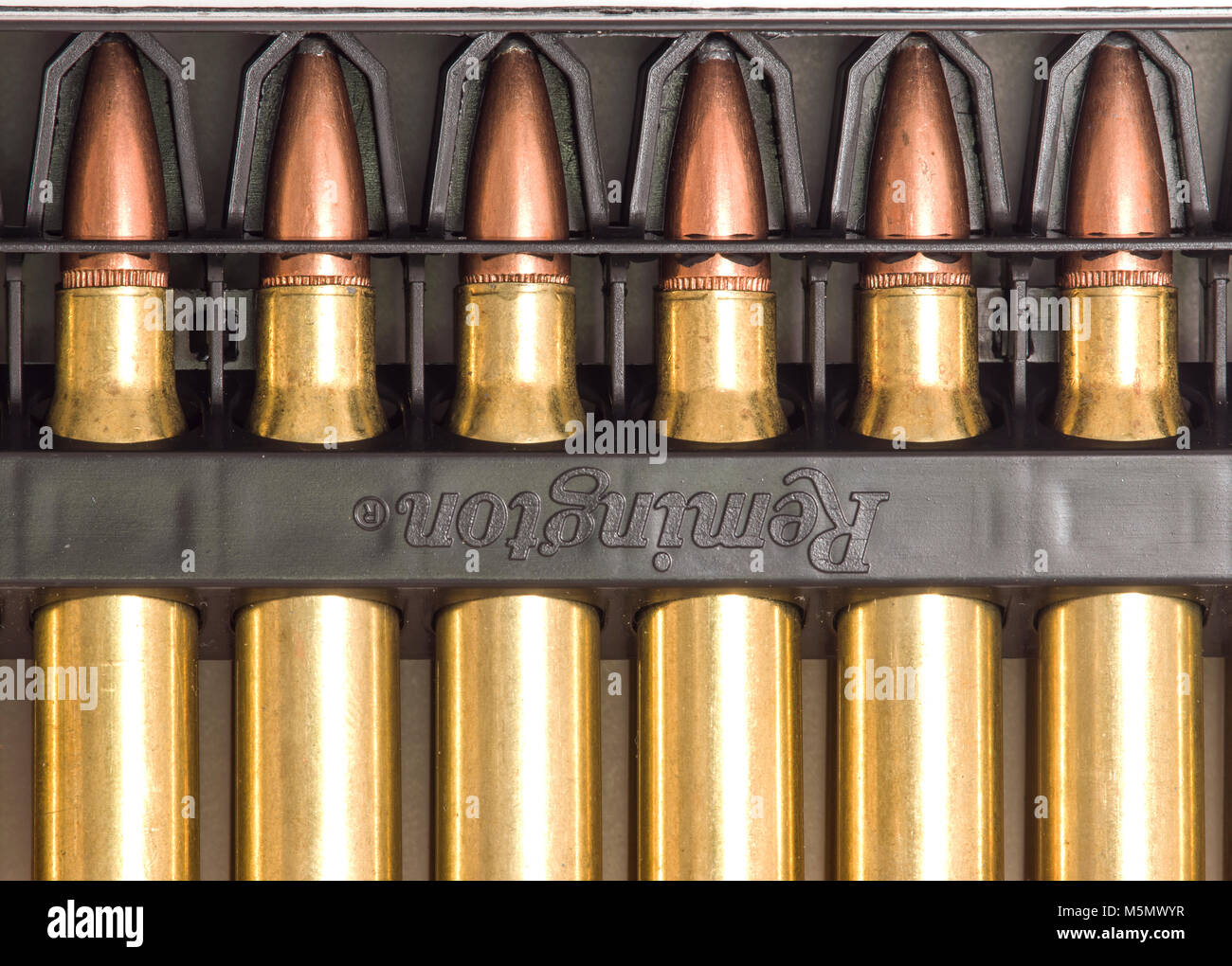 Ammo container hi-res stock photography and images - Alamy