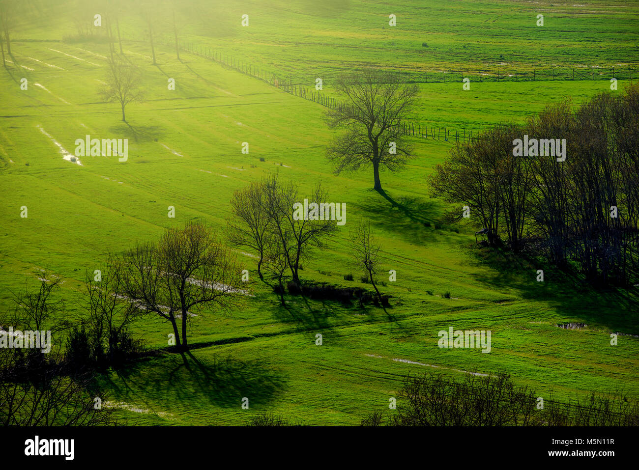 Morning sun on rural hi-res stock photography and images - Alamy