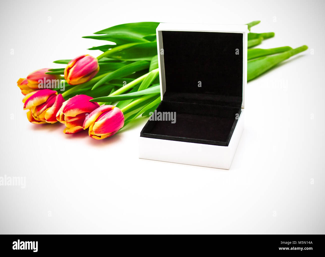 Open tulips hi-res stock photography and images - Alamy