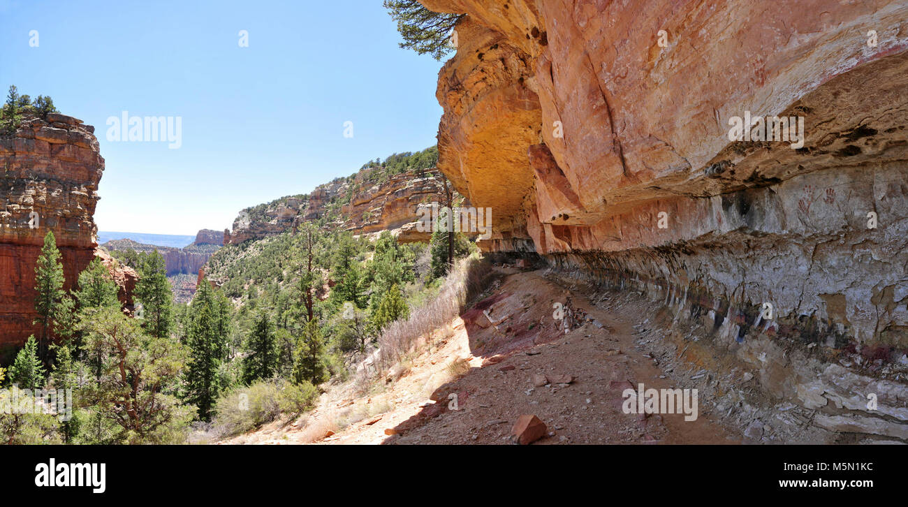 Grand Canyon Cliff Springs (NR) . Approaching Cliff Springs. The Cliff ...