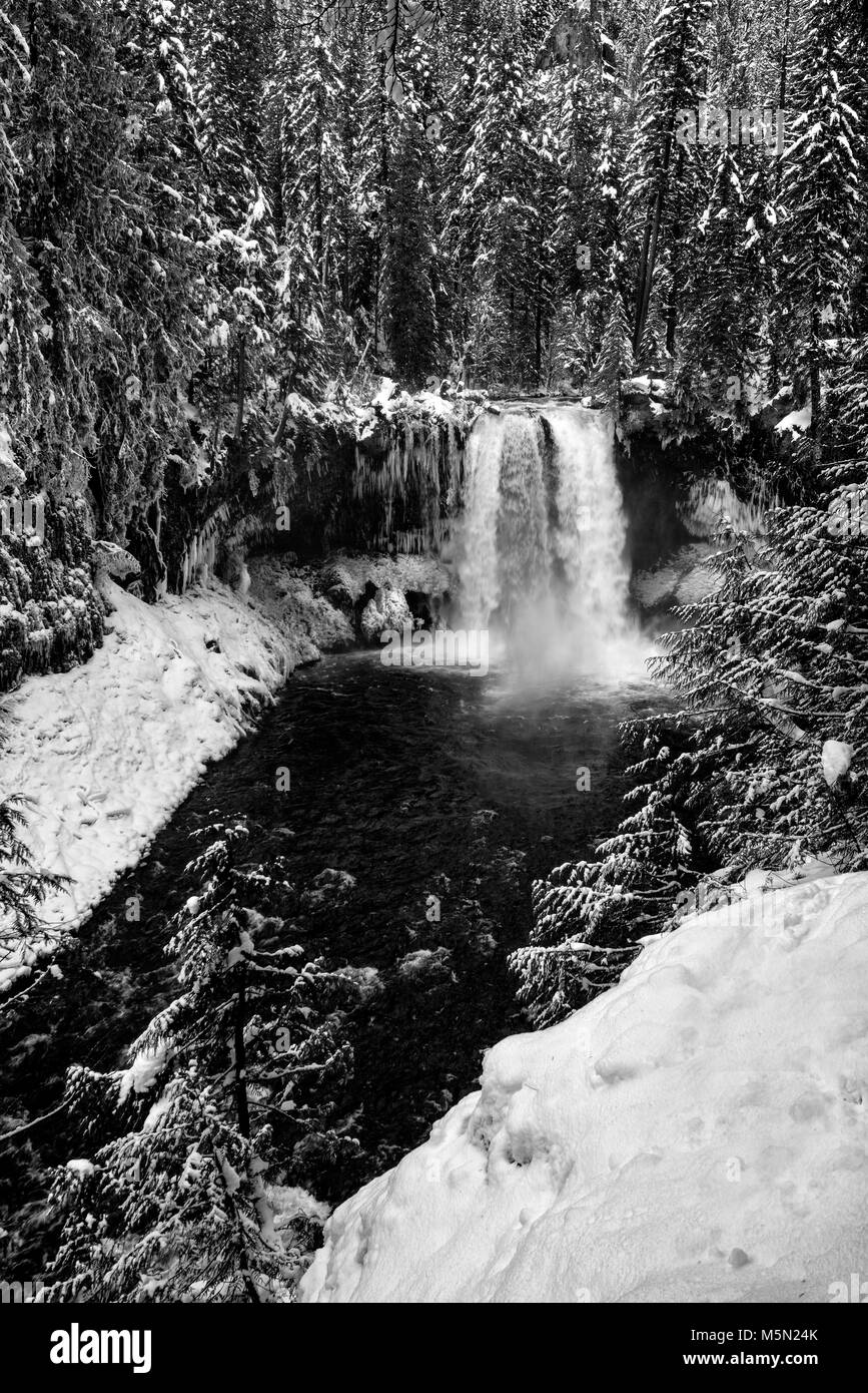 Mckenzie river oregon hi-res stock photography and images - Alamy