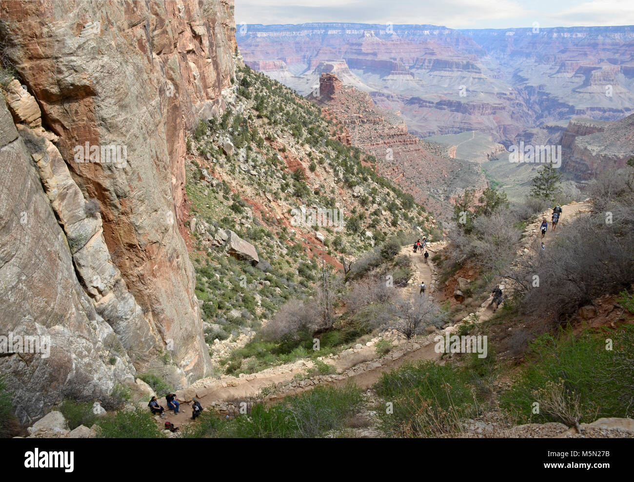 Grand Canyon Nat Park Bright Angel Trail Coconino Sandstone . Hikers at ...