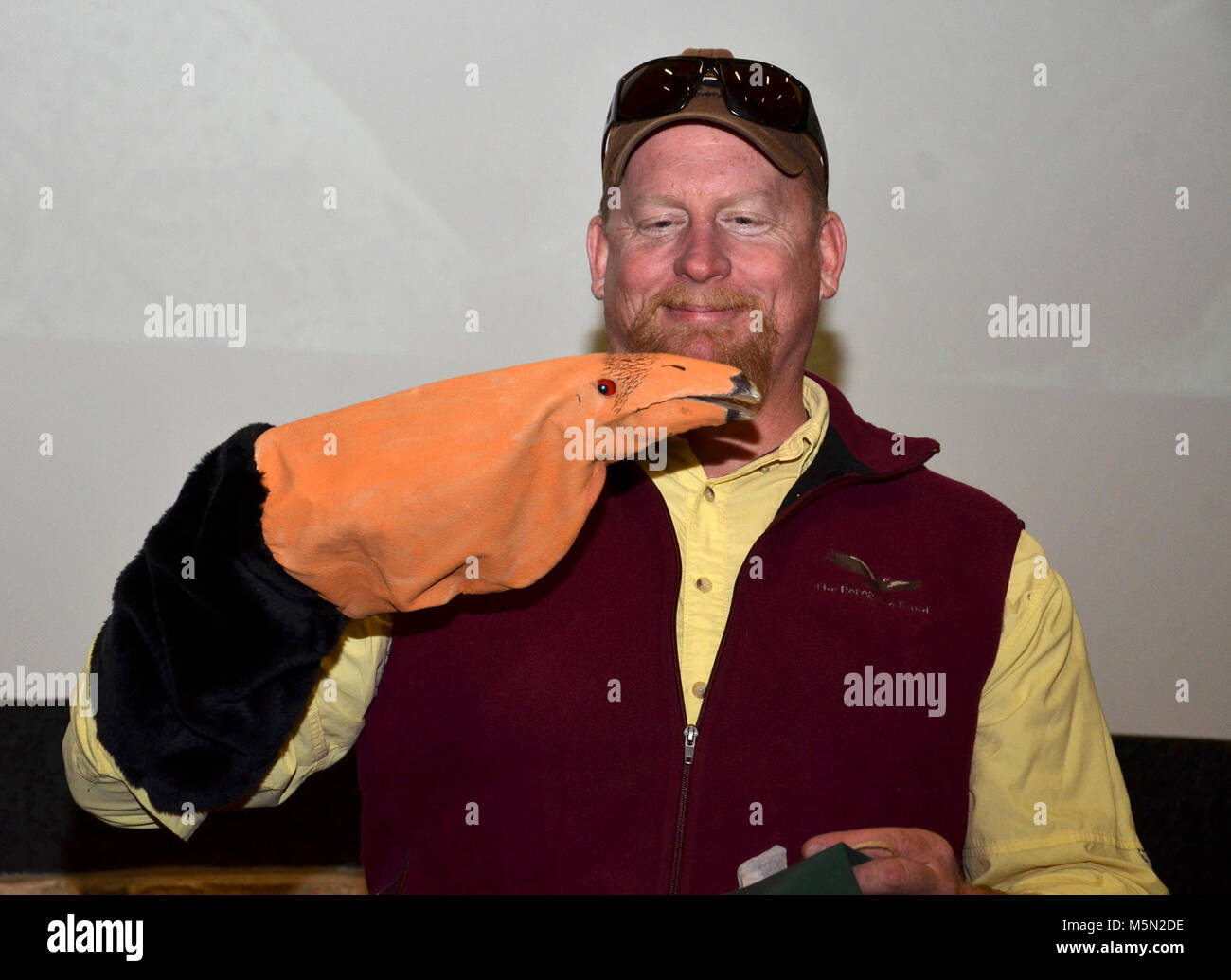 Condor puppet hi-res stock photography and images - Alamy