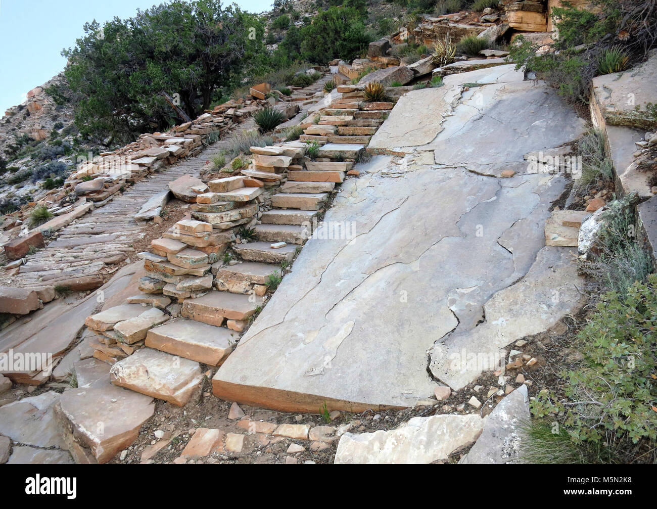 Grand Canyon National Park Hermit Trail Fossil Exhibit . Fossilized ...