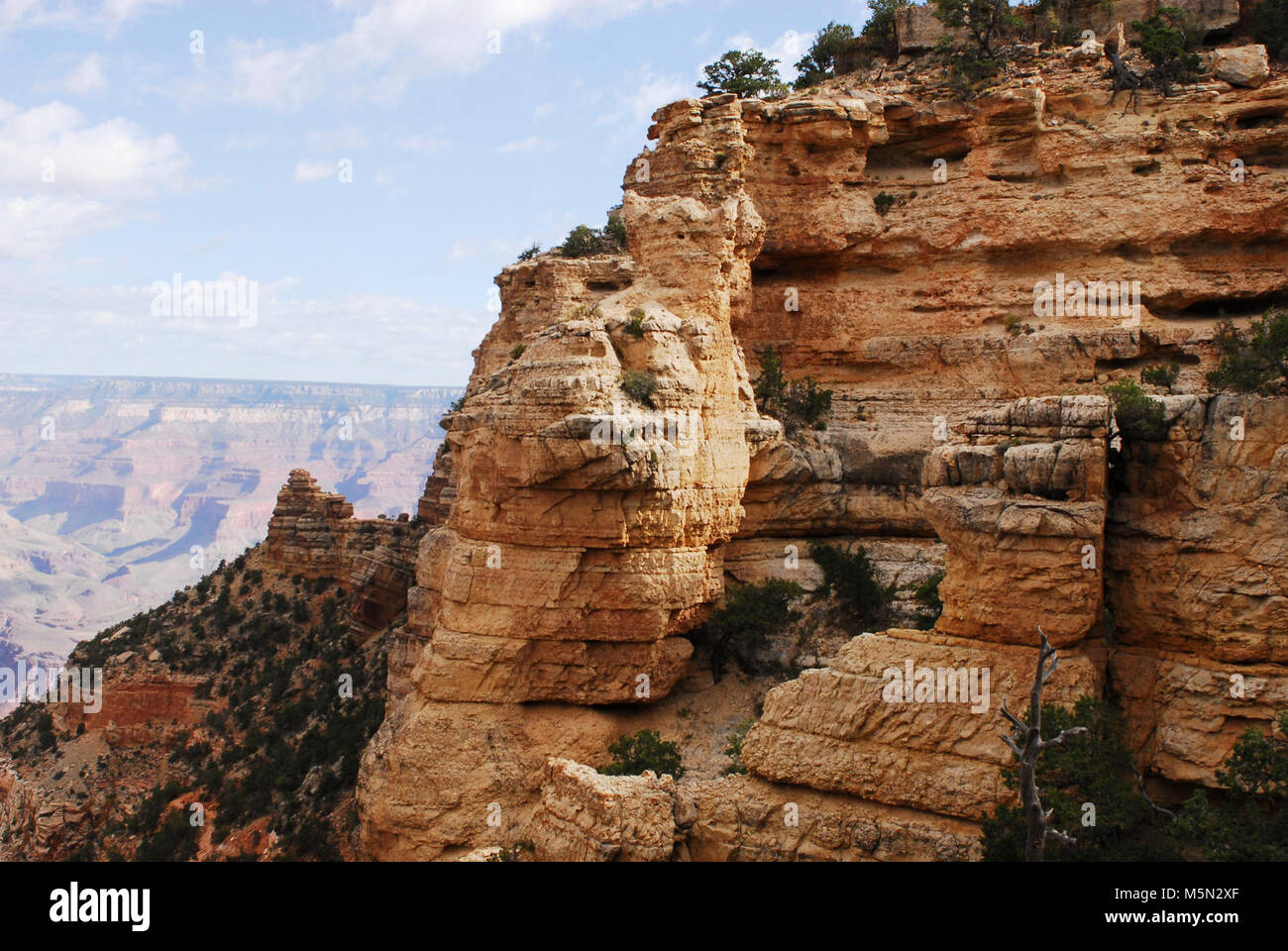 Grand Canyon National Park- The Kaibab from South Kaibab Trail . This ...
