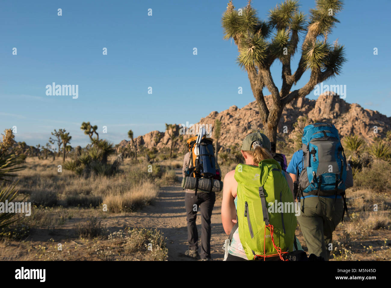 Backpacking along the Boy Scout Trail Stock Photo - Alamy
