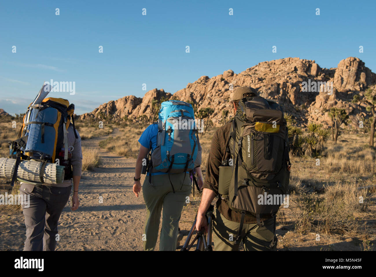 Backpacking along the Boy Scout Trail Stock Photo - Alamy