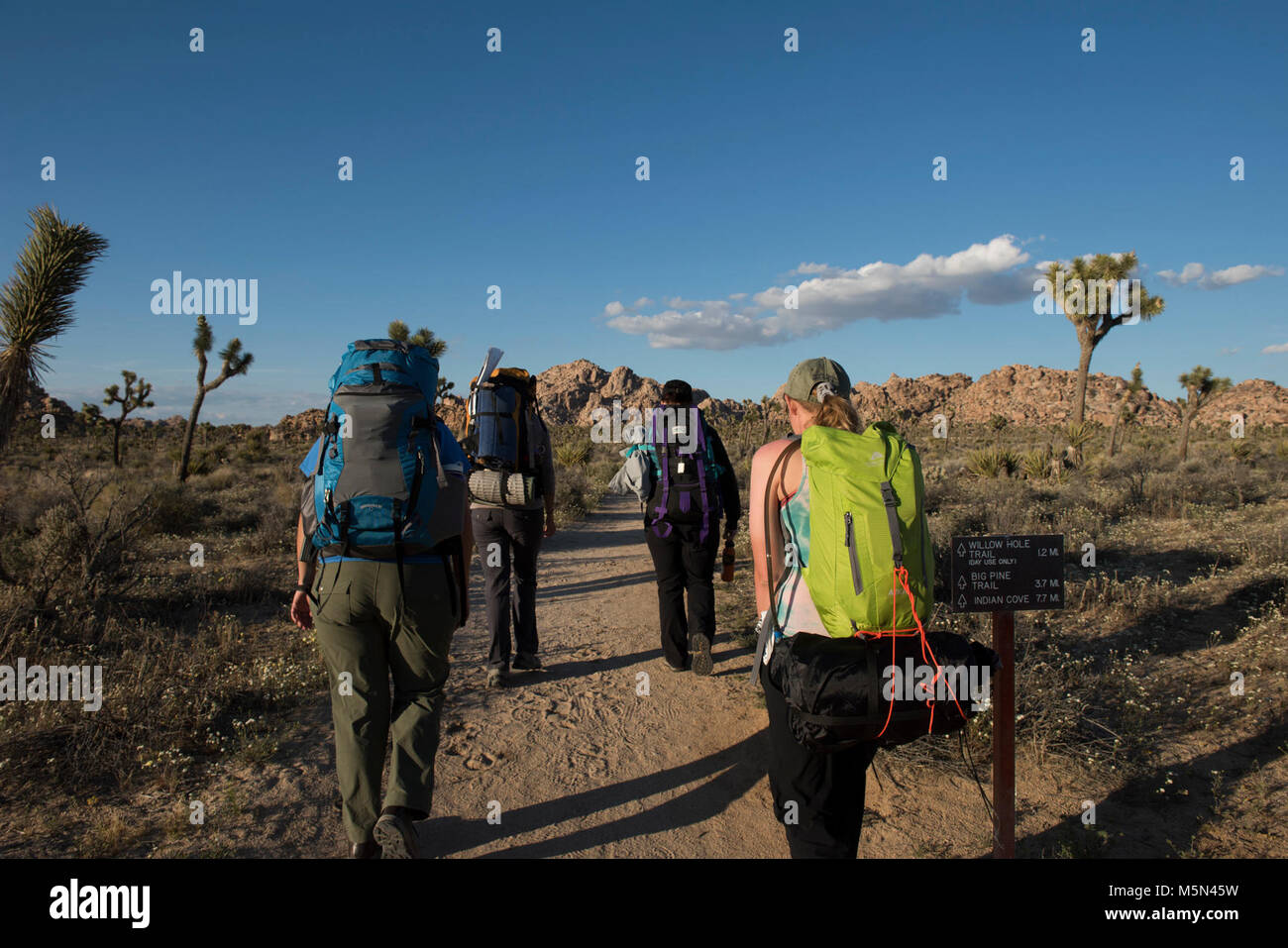 Backpacking along the Boy Scout Trail Stock Photo - Alamy