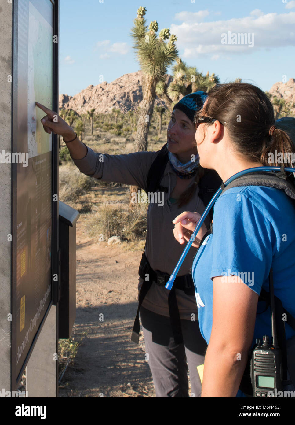 Backpacking along the Boy Scout Trail Stock Photo - Alamy