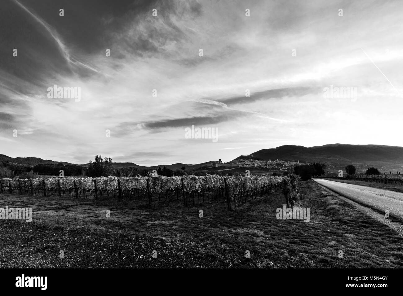 Deep foreground Black and White Stock Photos & Images - Alamy
