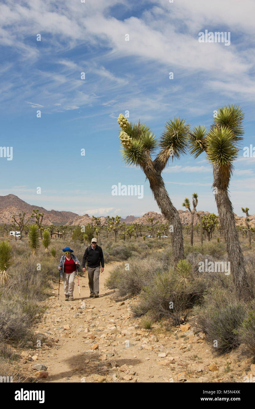 Hiking the Ryan Ranch Trail Stock Photo - Alamy