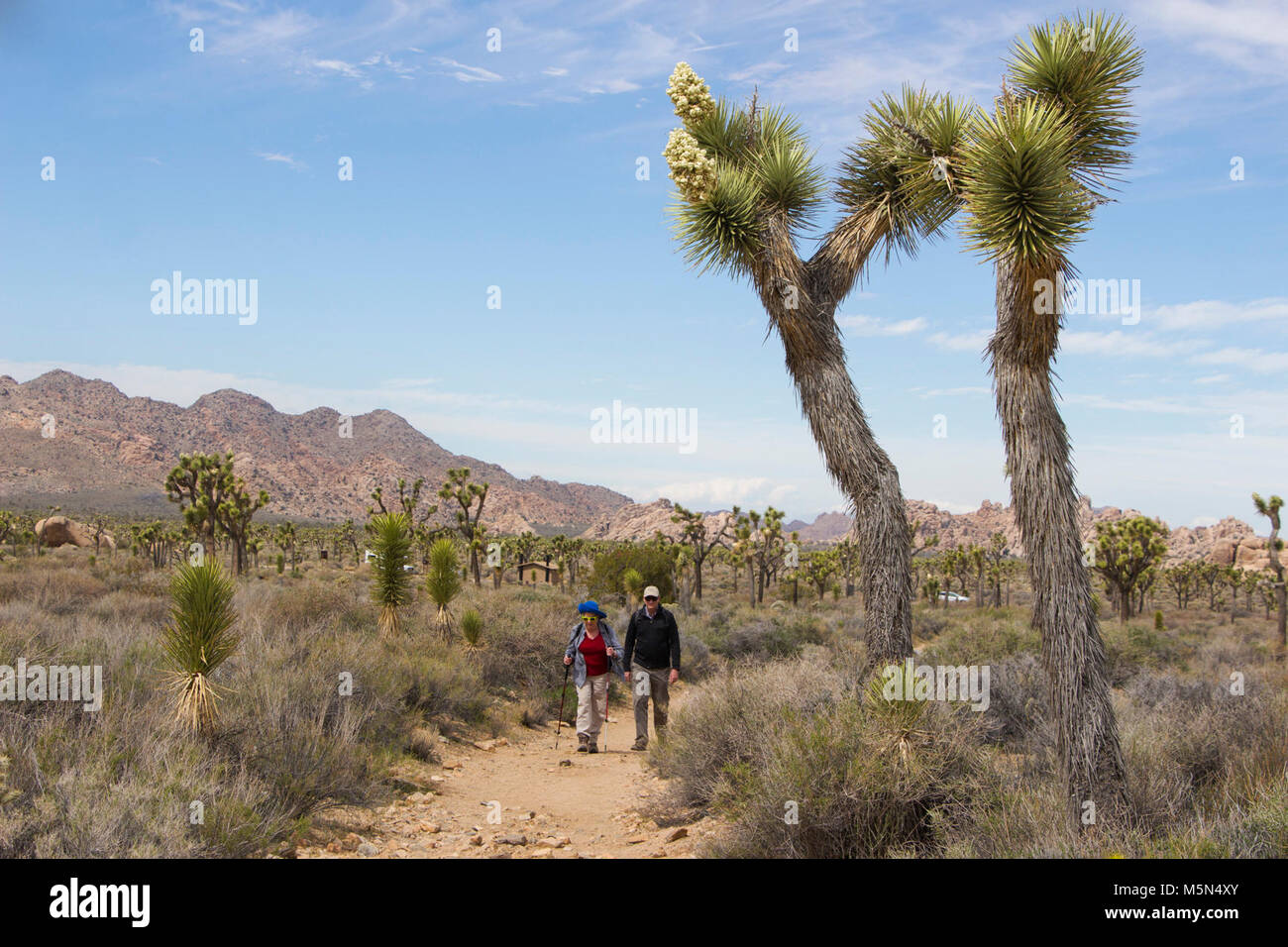 Hiking the Ryan Ranch Trail Stock Photo - Alamy