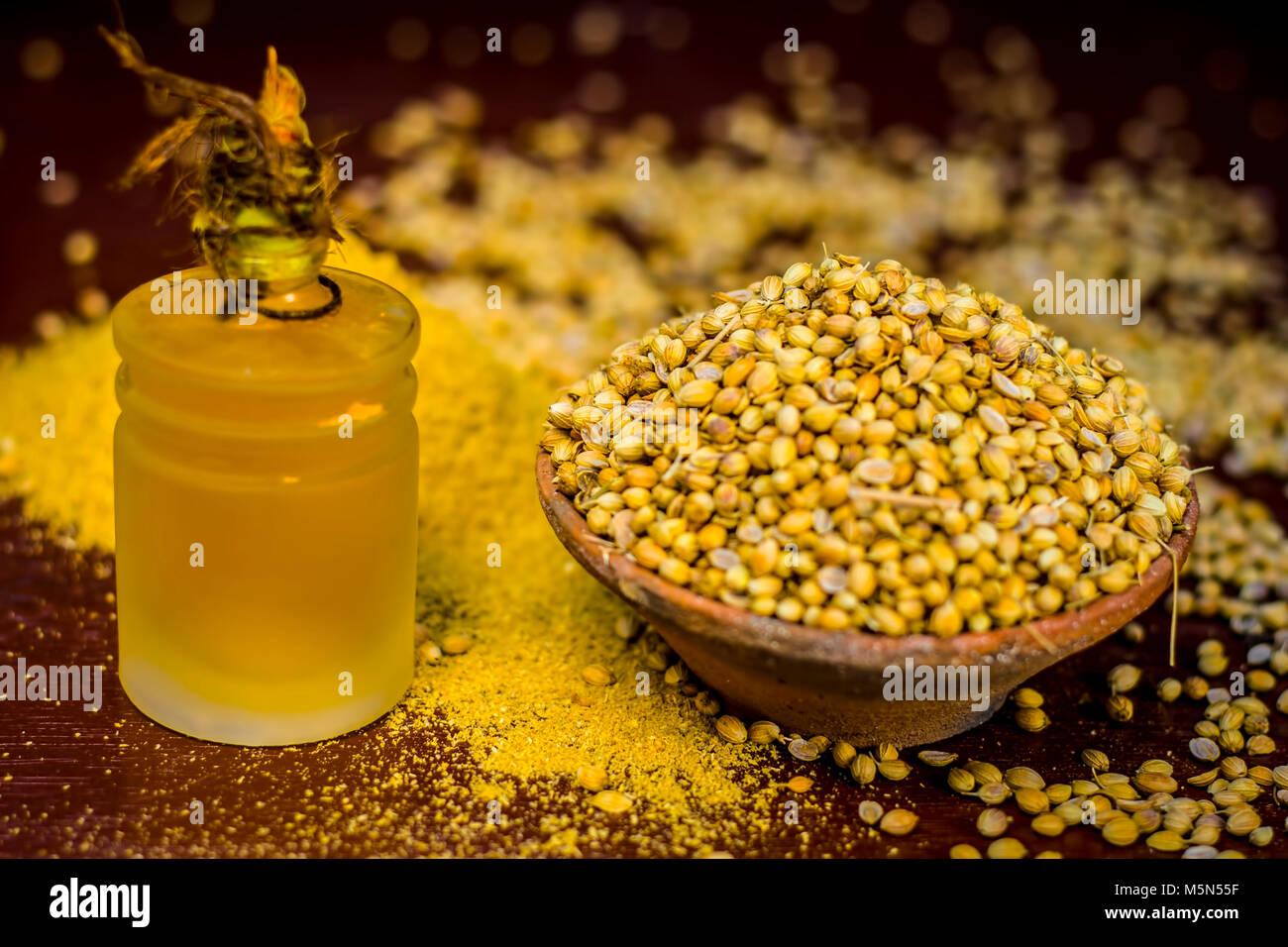 Close up of spice coriander seeds,Coriandrum sativum with its extracted oil Stock Photo - Alamy
