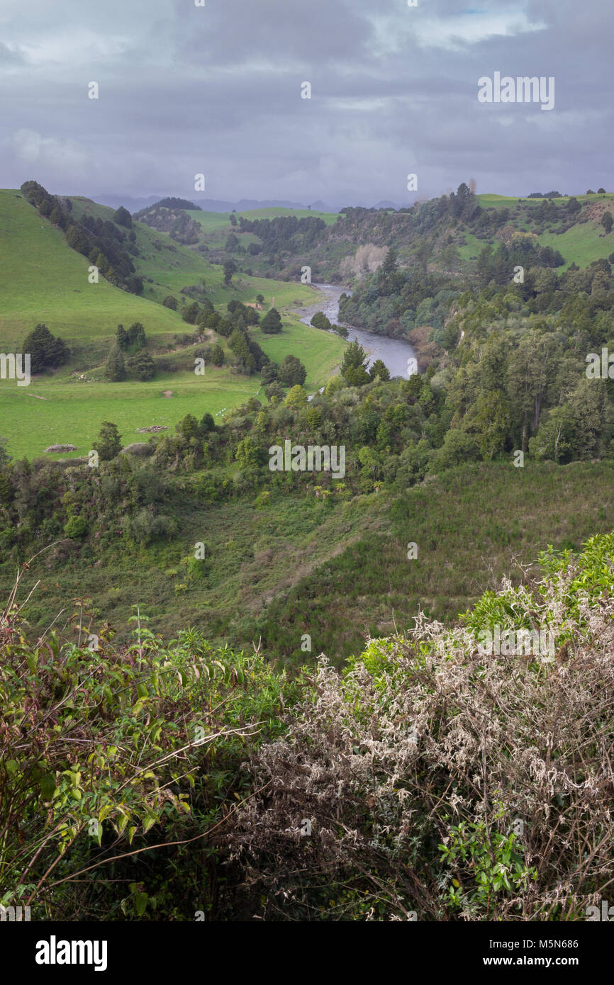 Piriaka lookout hi-res stock photography and images - Alamy