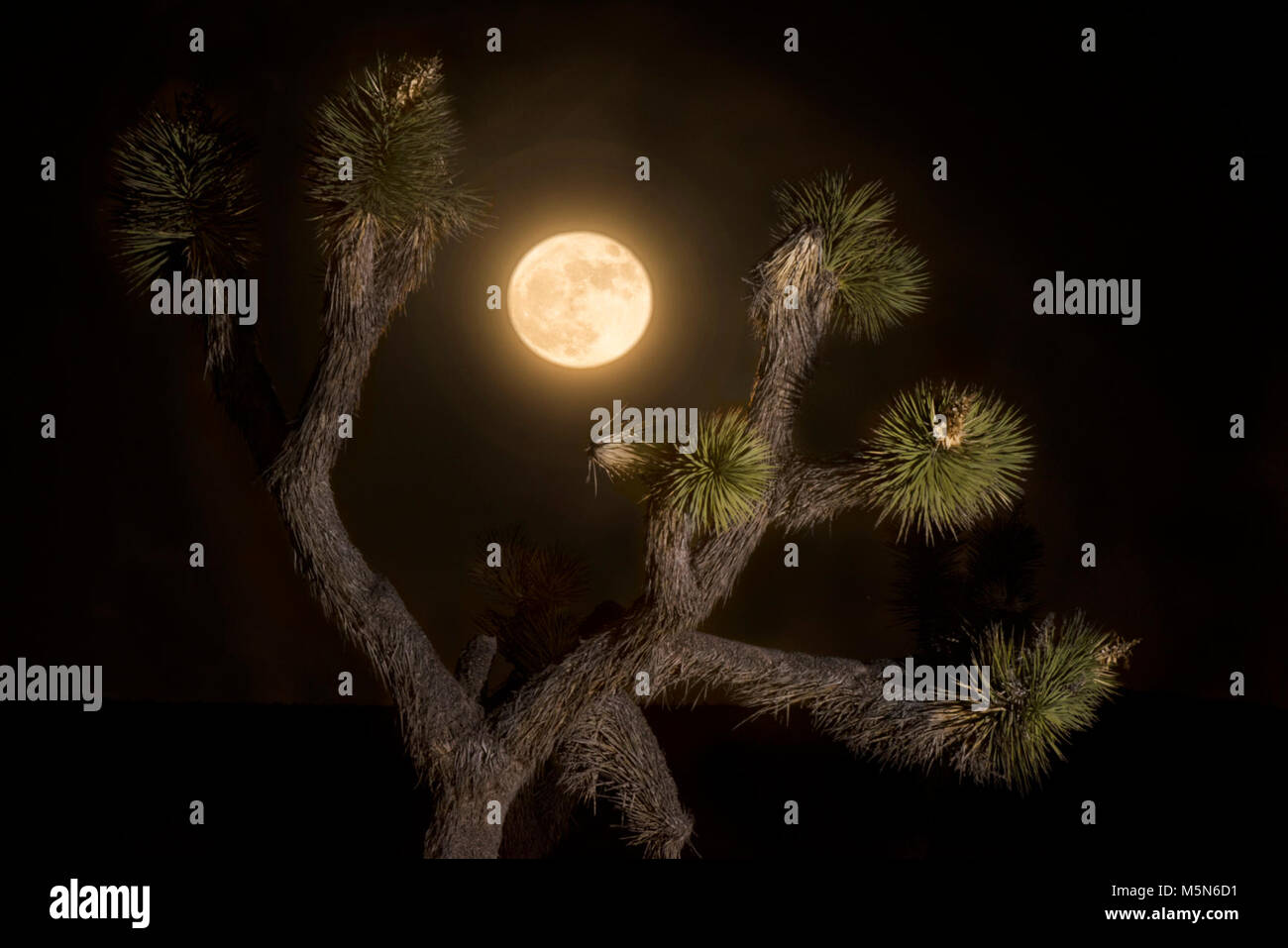 Supermoon california hi-res stock photography and images - Alamy