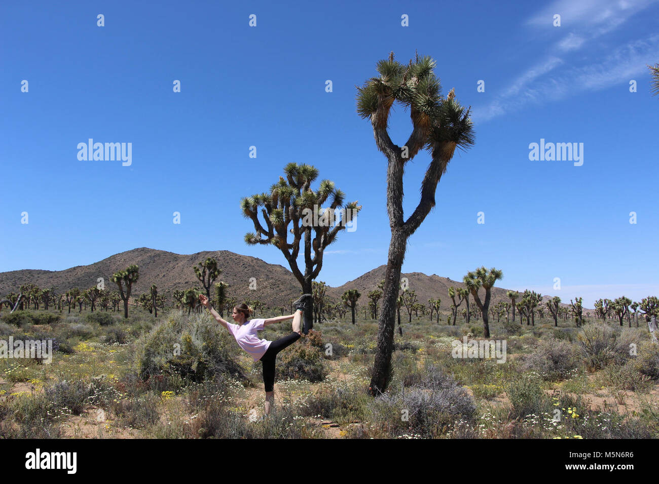 Yoga in Joshua Tree Stock Photo - Alamy